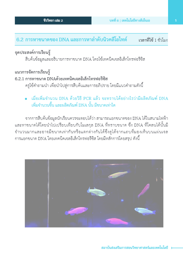แนวการจัดการเรียนรู้ที่ 6.2 การหาขนาดของ DNA และการหาลำดับนิวคลีโอไทด์ ...