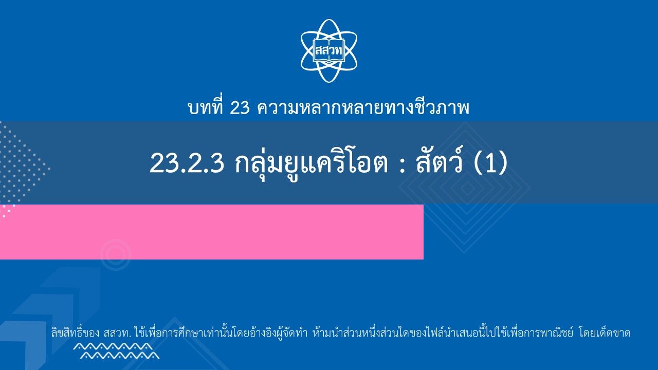 23.2.3 กลุ่มยูแคริโอต : สัตว์ (1) - My IPST