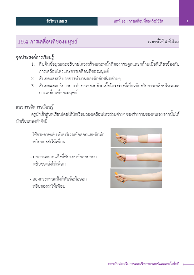 แนวการจัดการเรียนรู้ที่ 19.4 การเคลื่อนที่ของมนุษย์ - My IPST