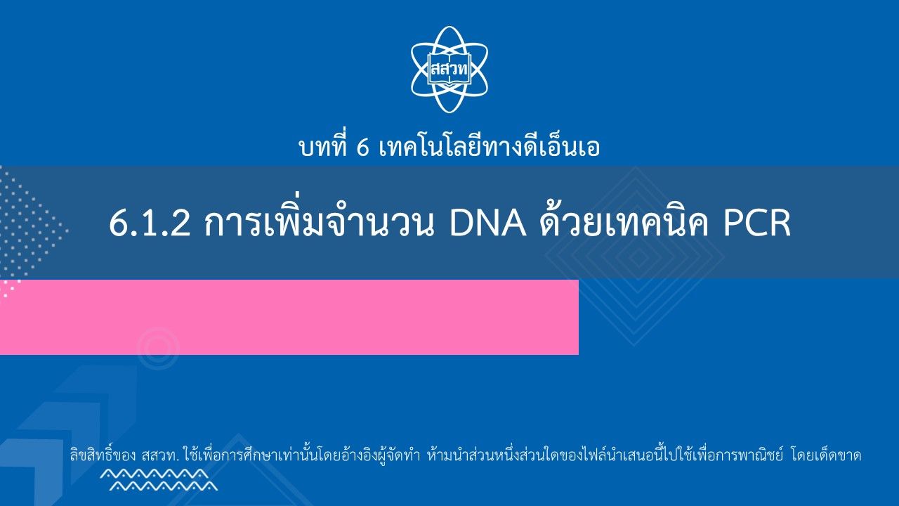 6.1.2 การเพิ่มจำนวน DNA ด้วยเทคนิค PCR - My IPST