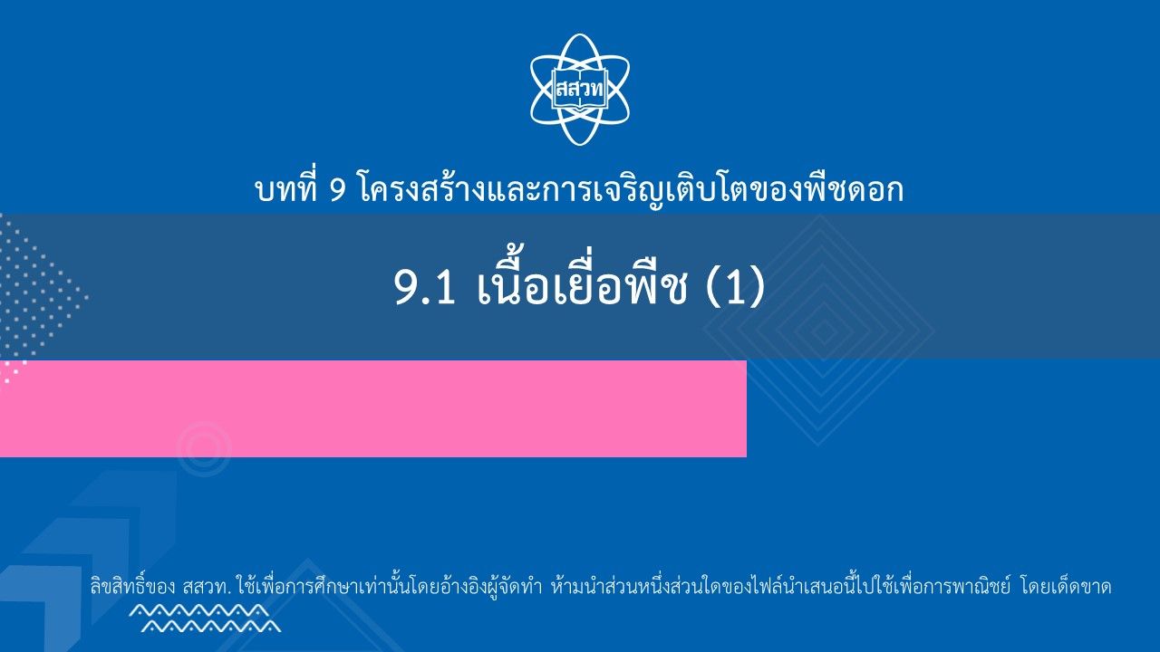 9.1 เนื้อเยื่อพืช (1) - My IPST