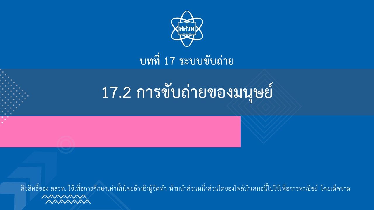 17.2 การขับถ่ายของมนุษย์ - My IPST