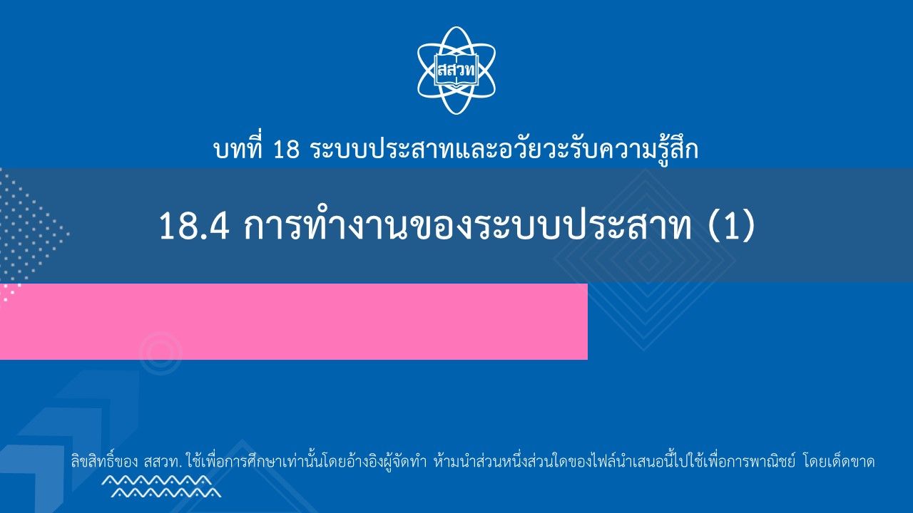 18.4 การทำงานของระบบประสาท (1) - My IPST