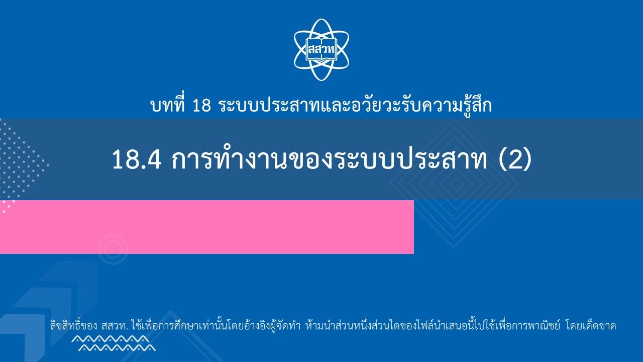18.4 การทำงานของระบบประสาท (2) - My IPST