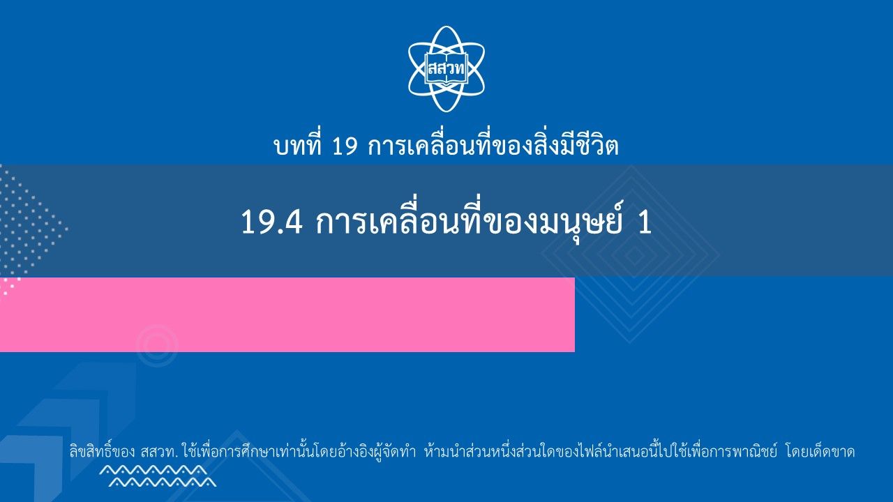 19.4 การเคลื่อนที่ของมนุษย์ (1) - My IPST